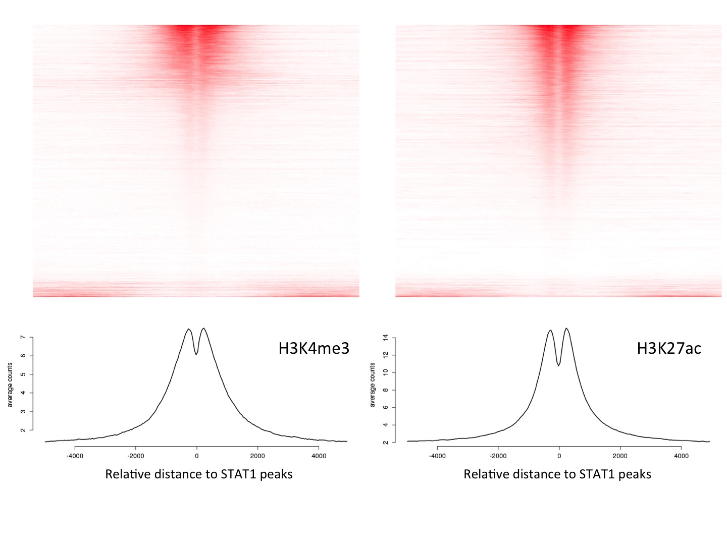 ChIP-Seq Analysis Tutorial